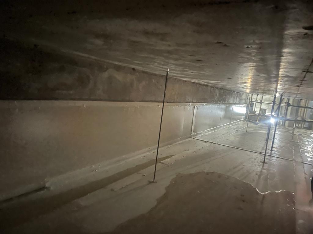 Remedial Building Services with DS Projects Trusted Solution